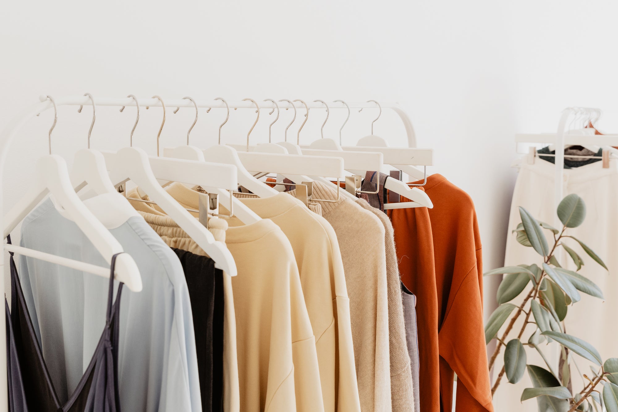 Paloma Clothing – PALOMA CLOTHING
